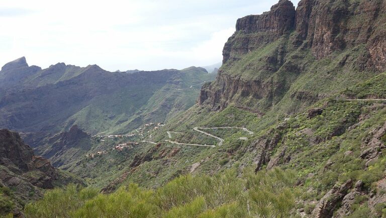 Teno Rural Park - Official Taxi