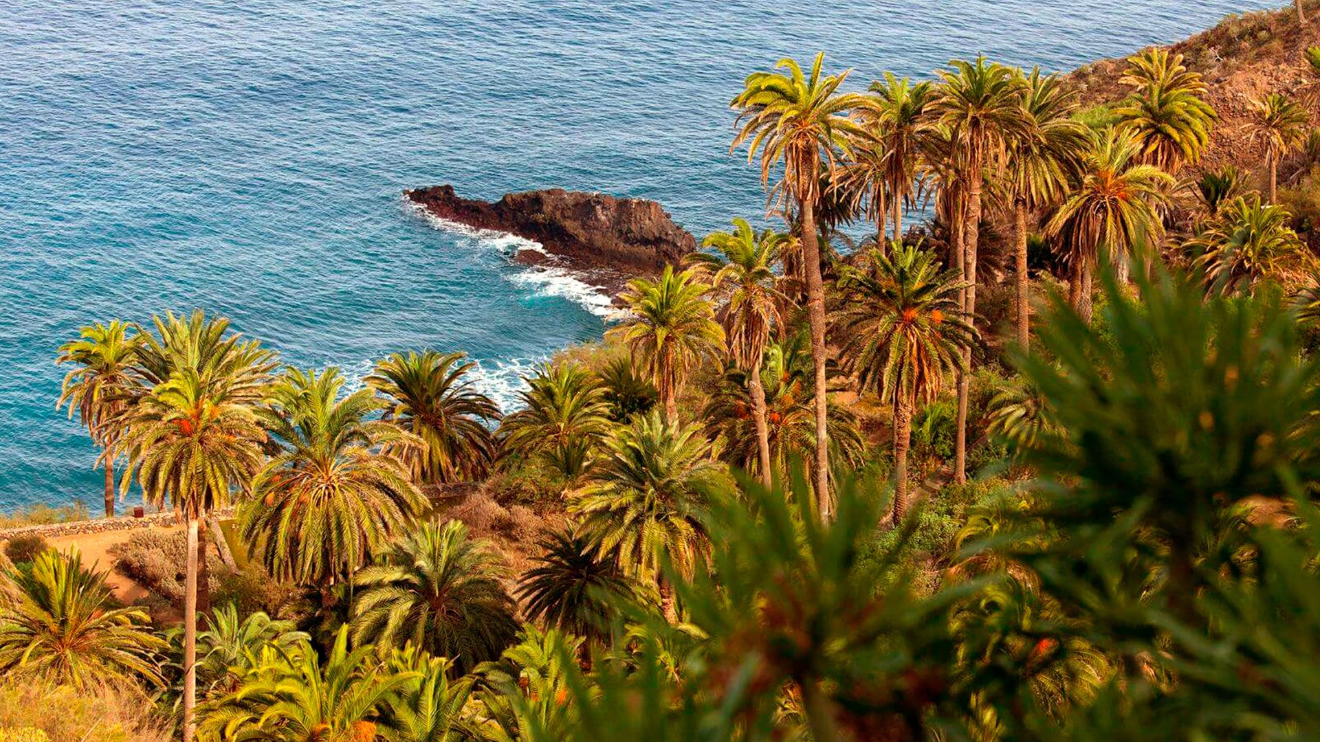 Espacios naturales - Official Taxi