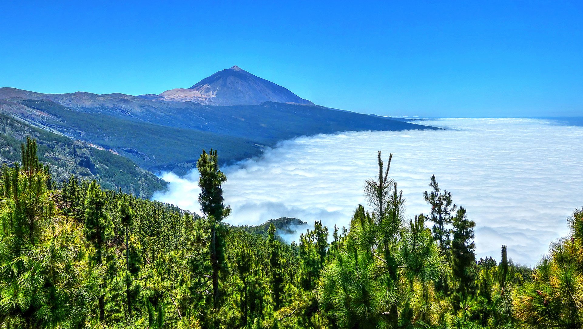 Parque Natural de la Corona Forestal - Official Taxi